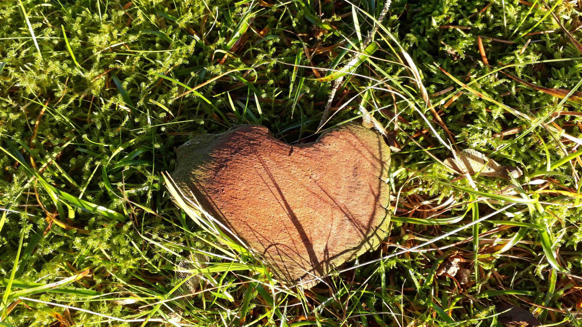 Drumwhill - Holiday Cottage and Retreat Centre Galloway Scotland